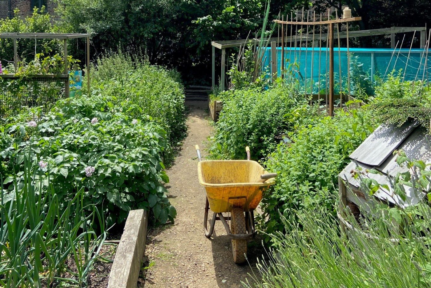 Outerspace UK What is a Forest Garden and why should you consider one ...